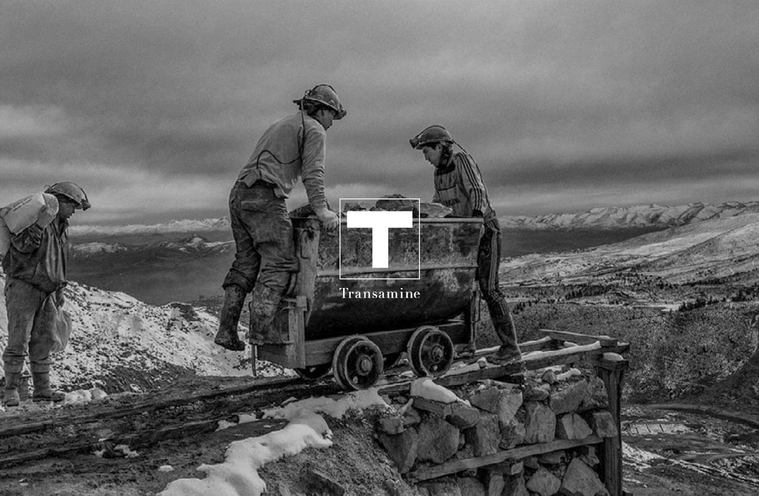 Transamine - Presentation of Transamine